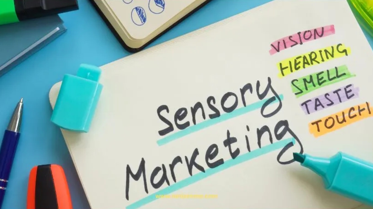 Skyray Media Group - A Portfolio of Media Brands